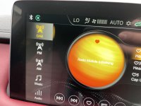 mg ehs radio module initialising | MG EVs Community